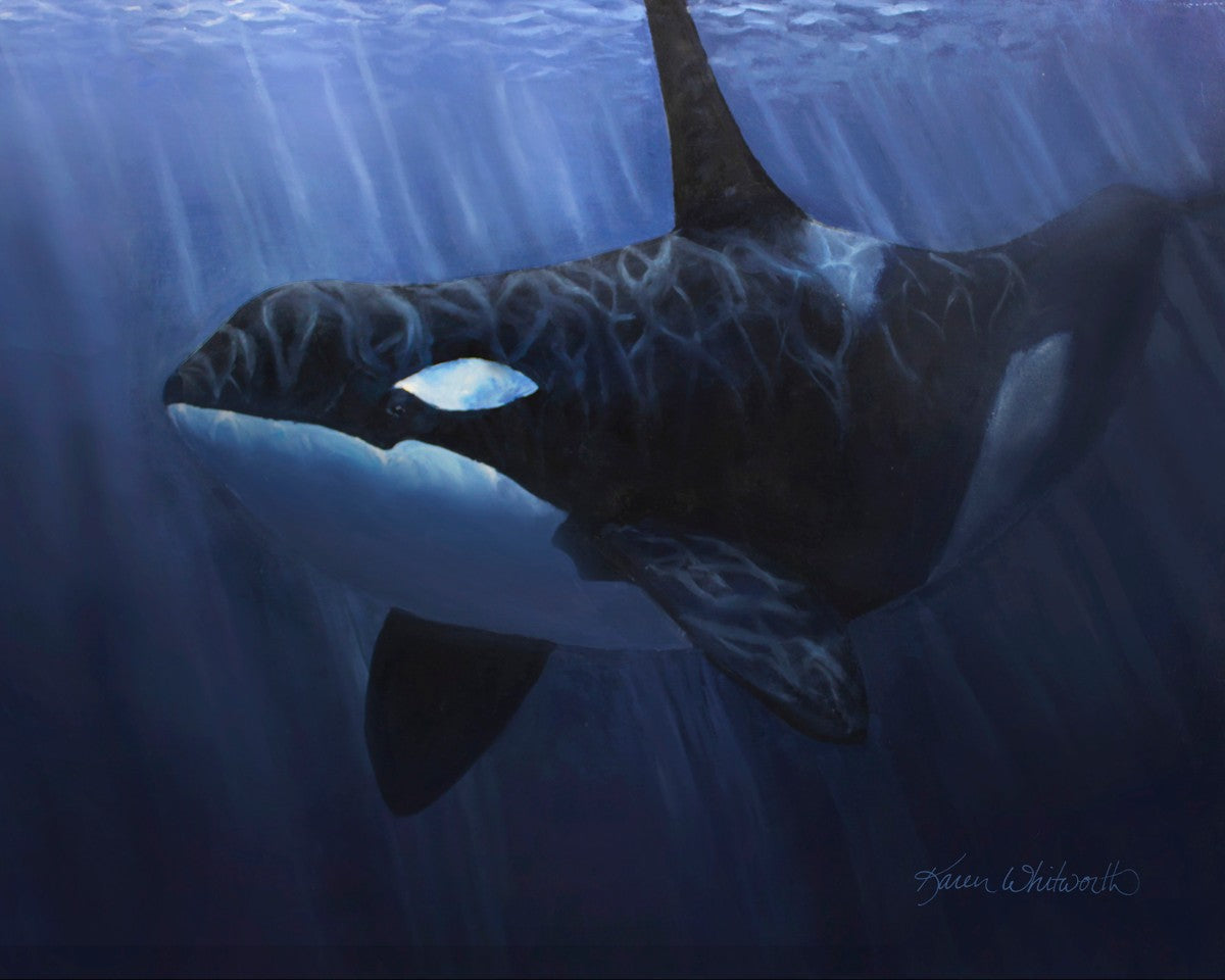 Orca Blues – Art of Karen Whitworth